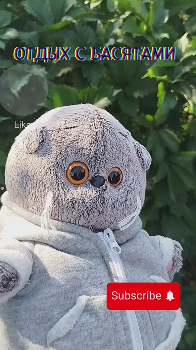 ОТДЫХ С БАСЯТАМИ 🌸
КУШАЕМ МОРОЖЕНКУ,СЛАДОСТИ 🍧
СМОТРИМ ЛИЛО И СТИЧ 💙