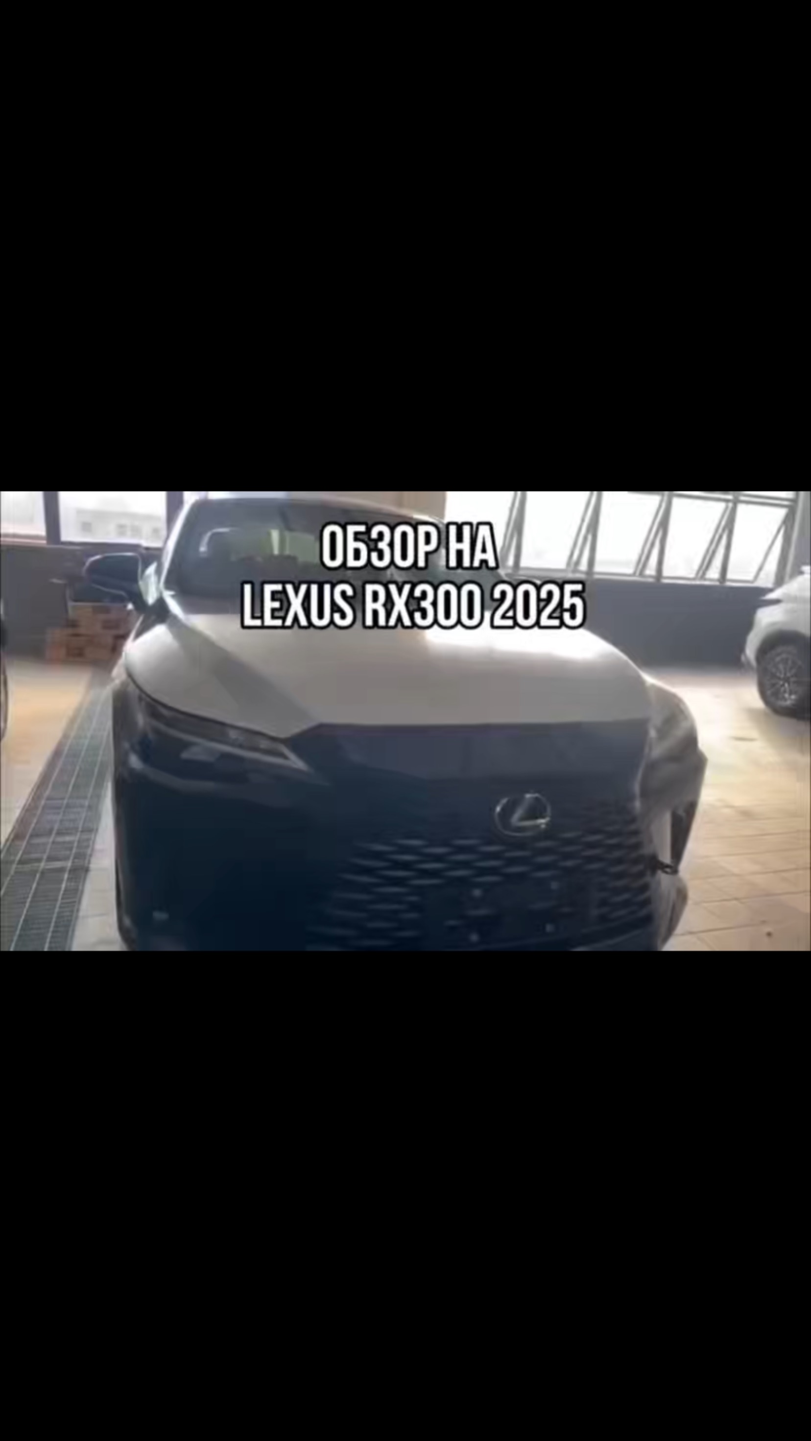 ОБЗОР НА LEXUS RX300 2025