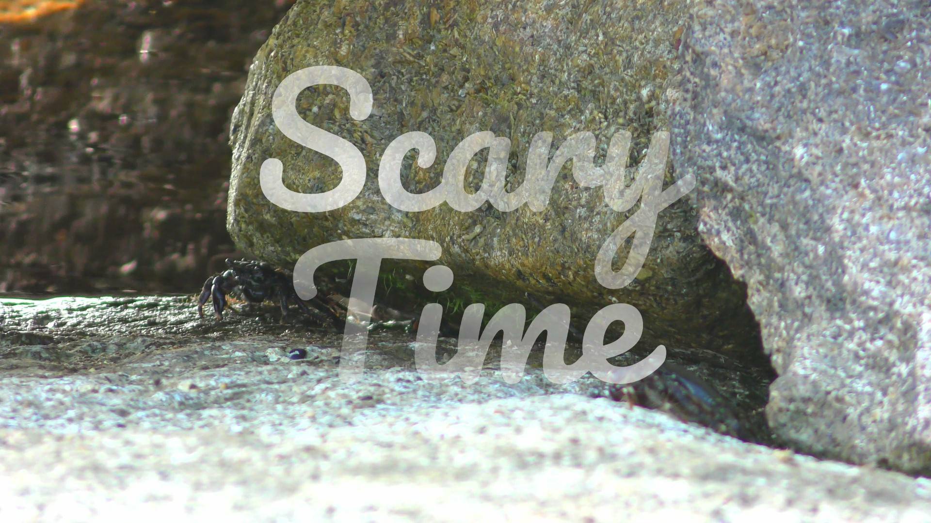 Scary time
