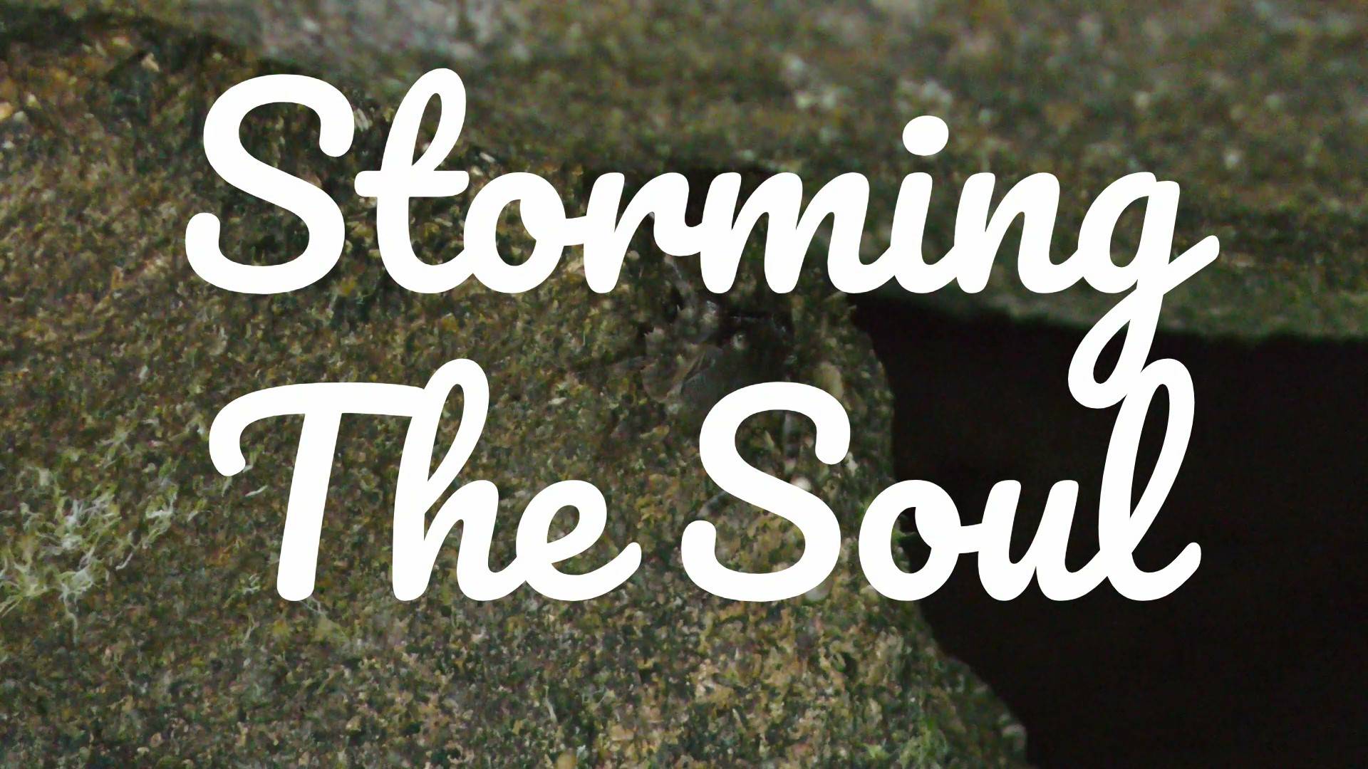 Storming the Soul