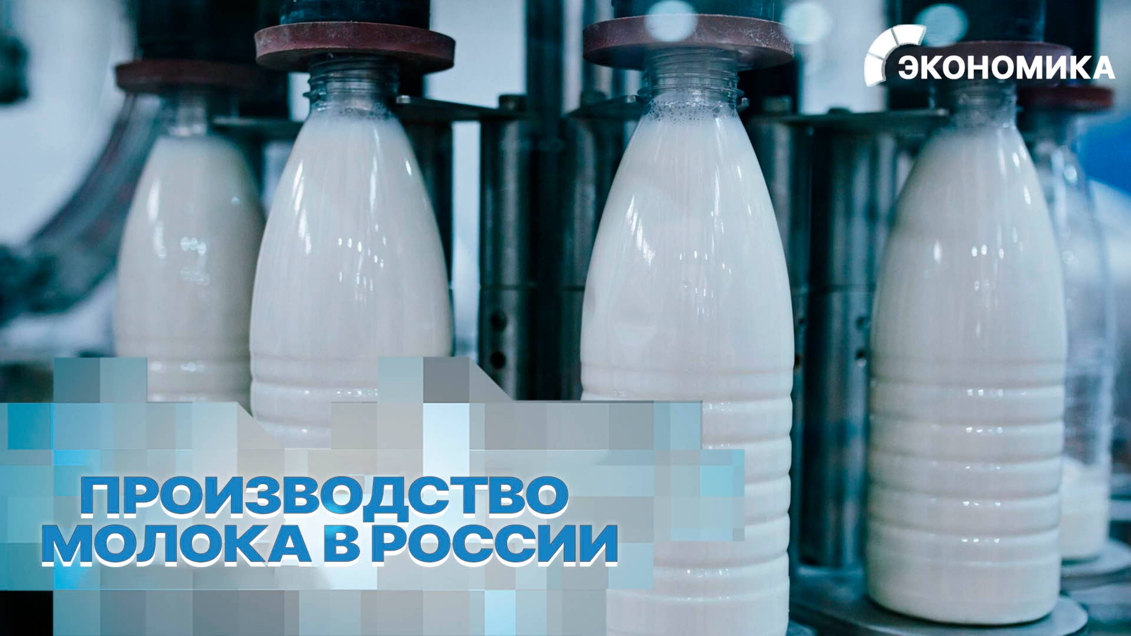 В России растет производство товарного молока | Вместе выгодно