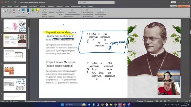 линия 4