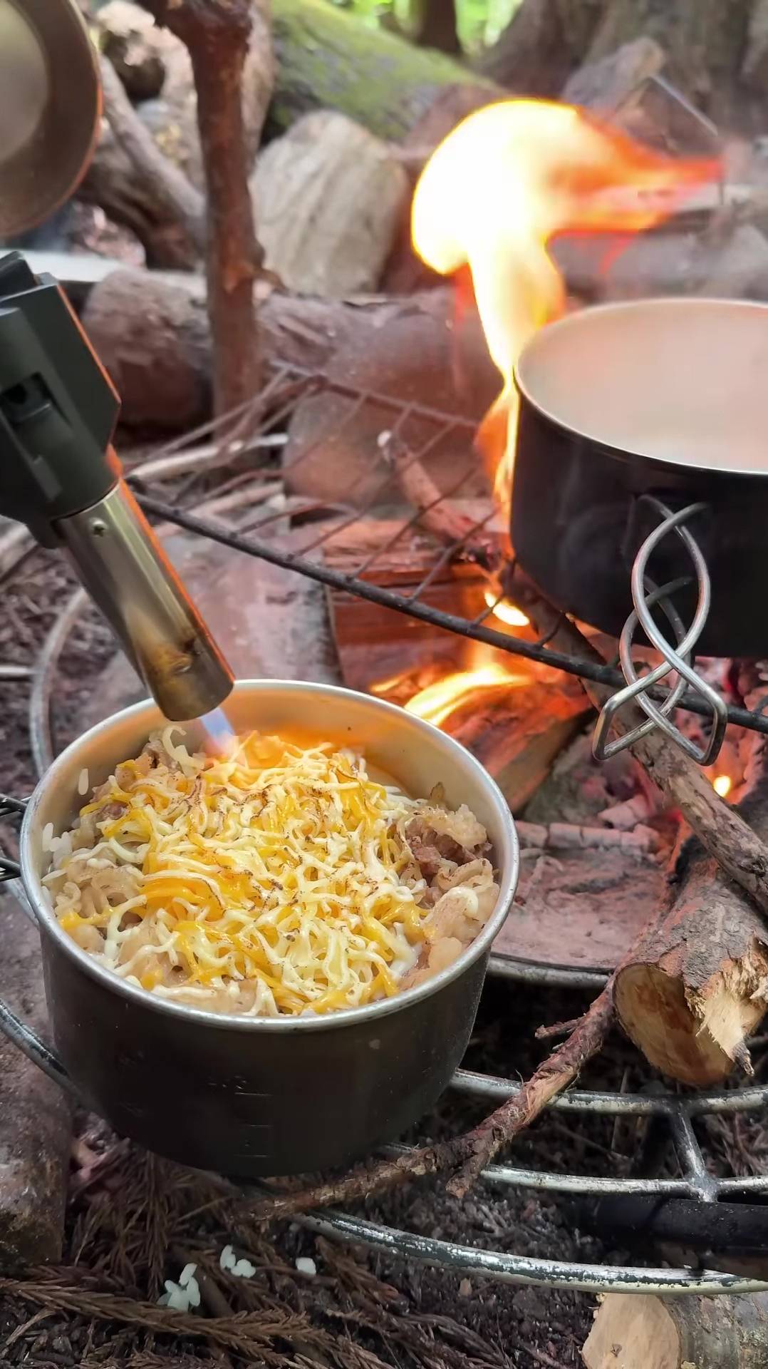 Миска сукии с сыром и говядиной в лесу
