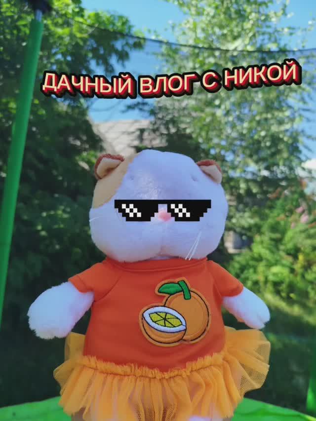 ☺️ДАЧНЫЙ ВЛОГ С НИКУШЕЙ 🦋
#БАСИКИ#КОТЫ БАСИКИ#БАСИК#