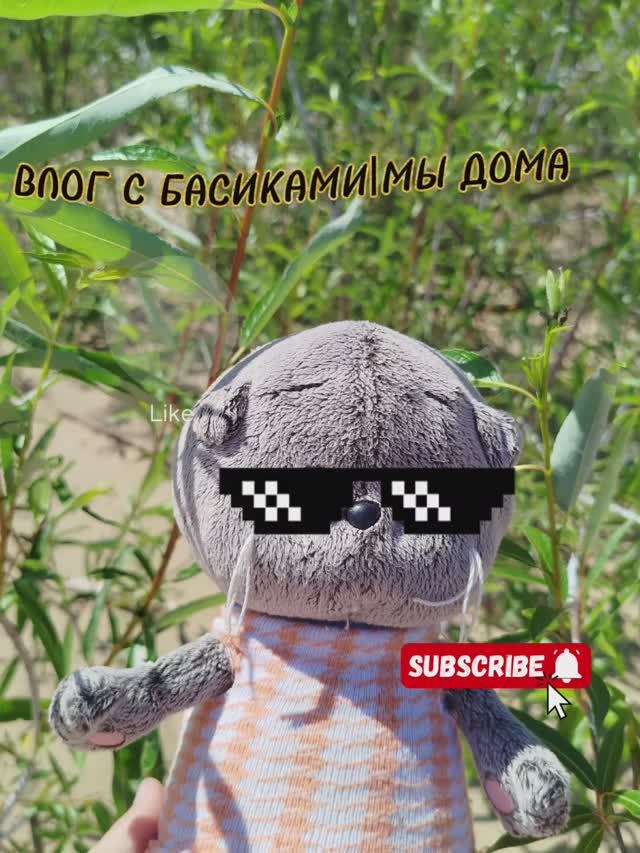 ВЛОГ С БАСИКАМИ|МЫ ДОМА 🏘️
МУЛЬТИК ДЛЯ ДЕТЕЙ 🌈
ЗАШЛИ К БАБУЛЕ 🐬
БАСЯТА БАСИК КОТ БАСИК БАСИКИ