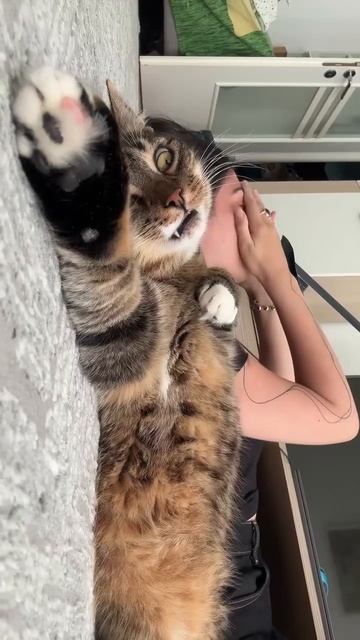 Как прошел мой день..😽