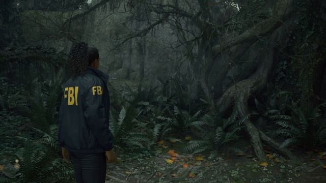 Alan Wake 2 \ видео 1
