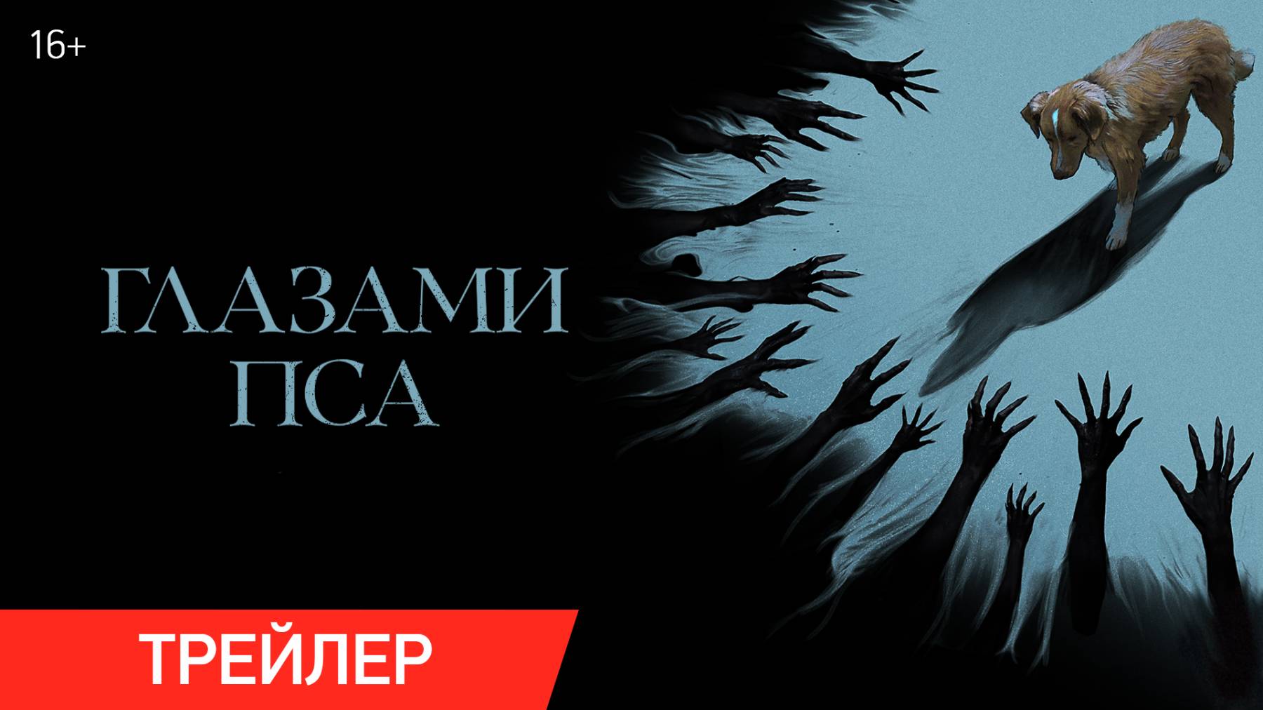 Глазами пса | Трейлер | В кино с 16 октября