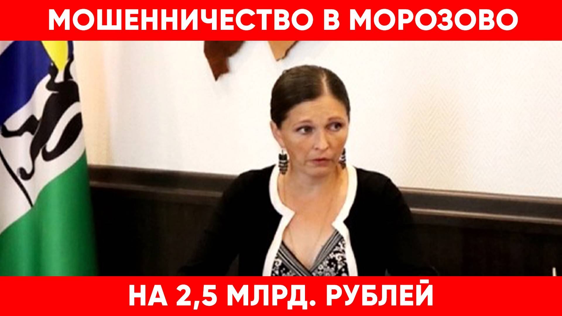 Мошенничество в Морозово на 2,5 млрд. рублей