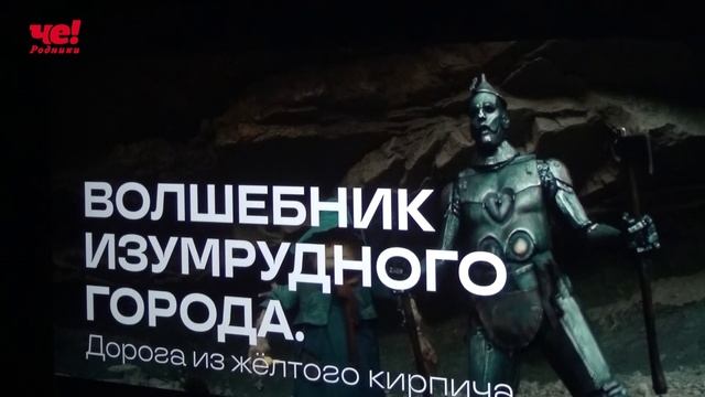 ночь кино