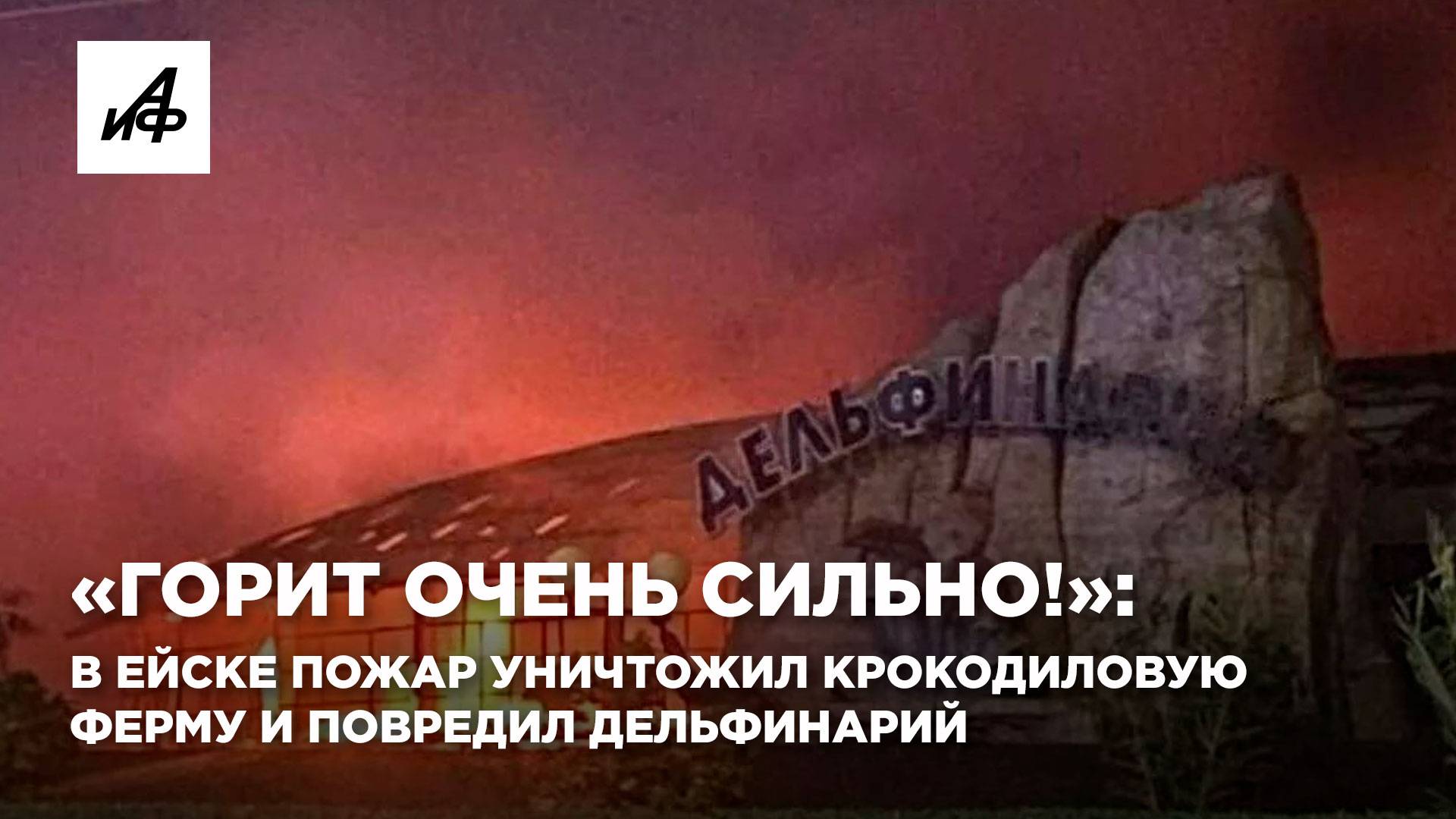 «Горит очень сильно!»: в Ейске пожар уничтожил крокодиловую ферму и повредил дельфинарий