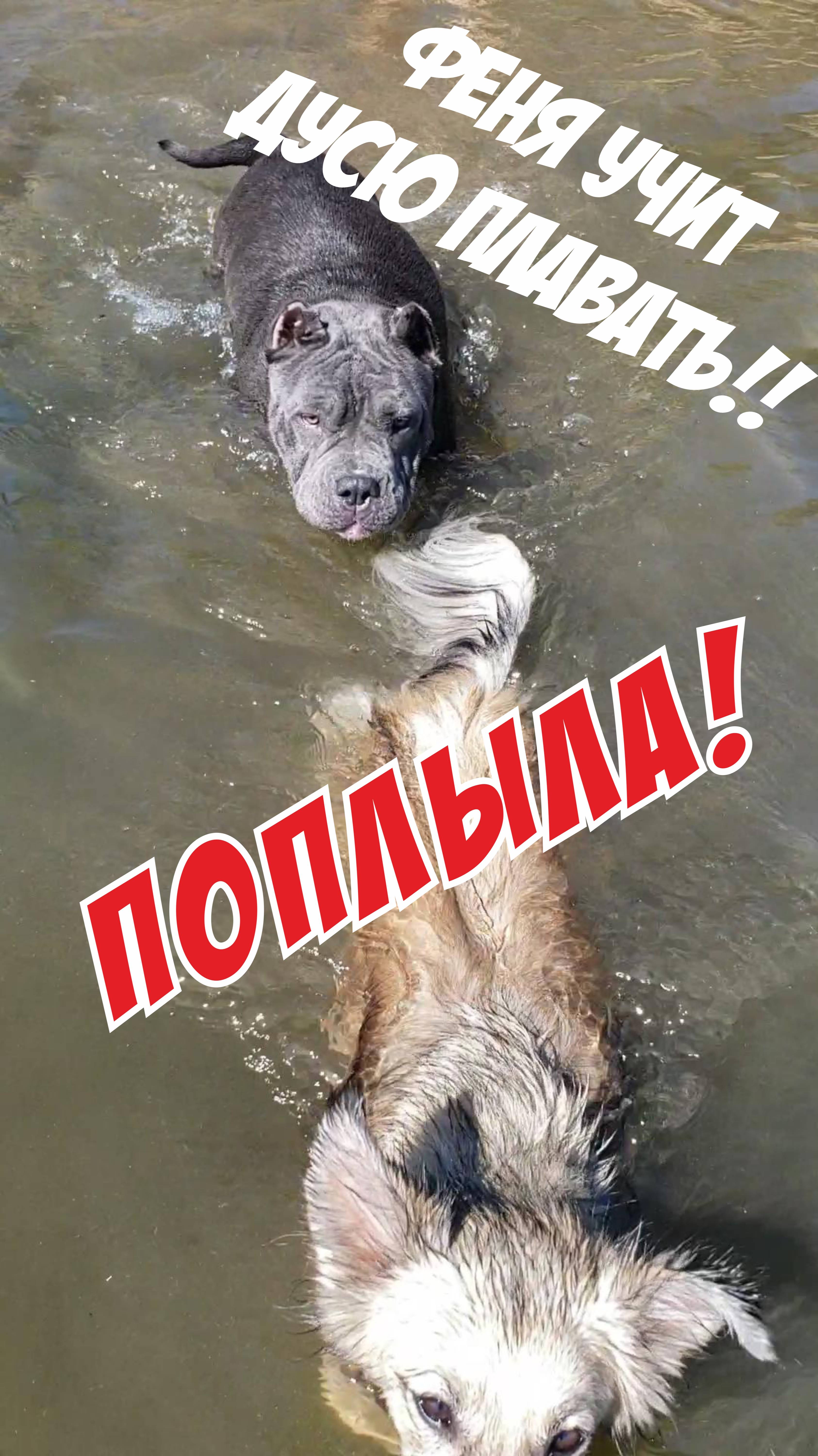 поплыла!!