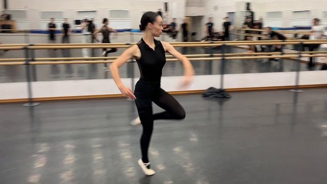 Лиана-круг тур пике