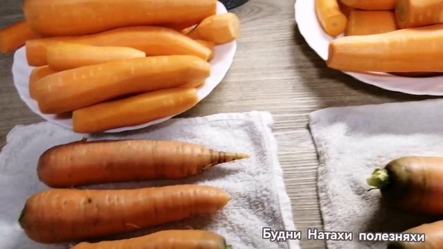 Дегустация! Какой сорт моркови выбрать? Сравниваем три сорта!