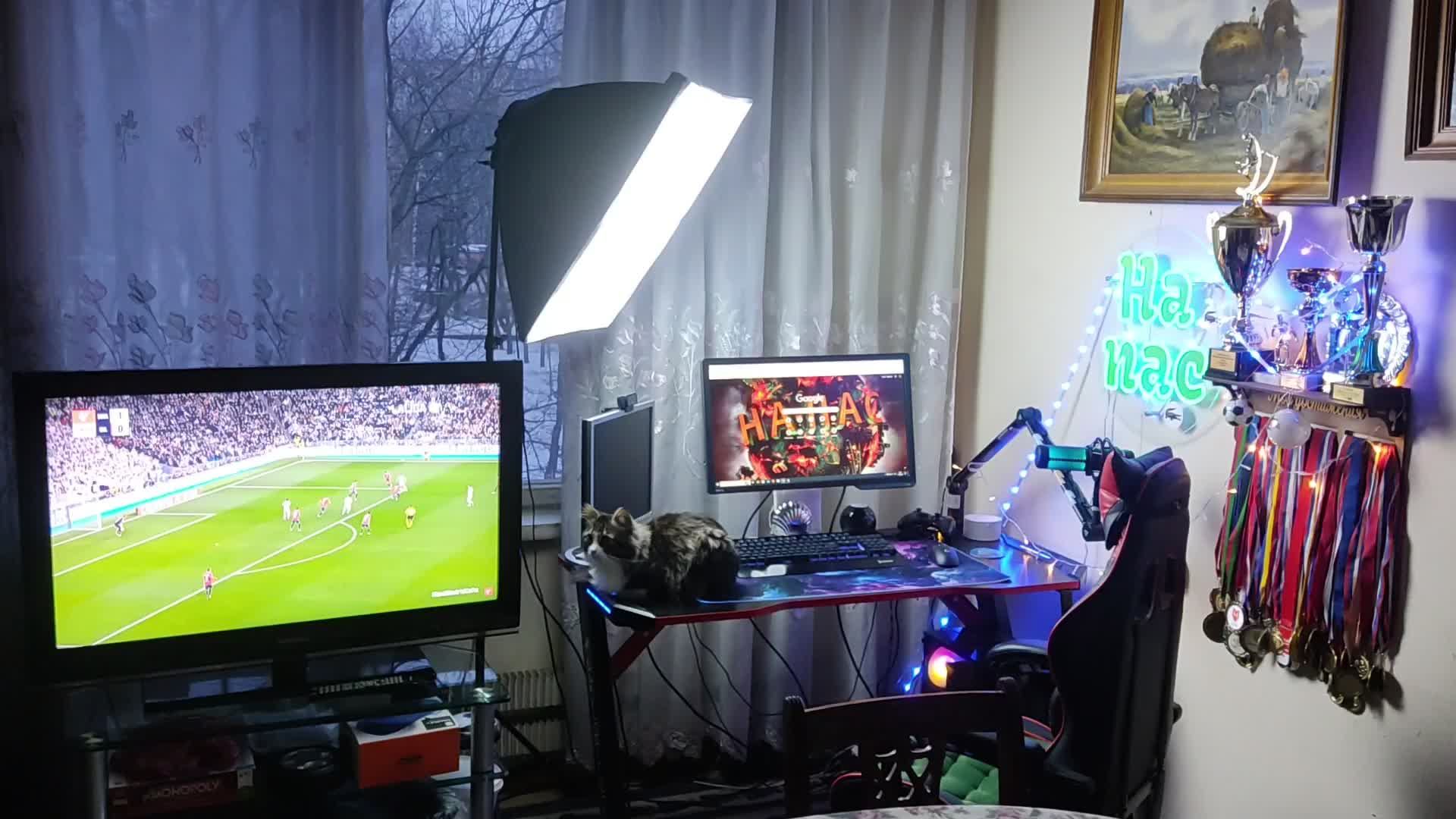 Опять эта болотная жопа