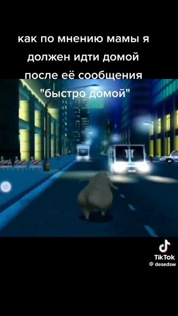 мемы