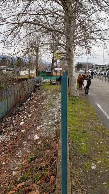 В Абхазии весело