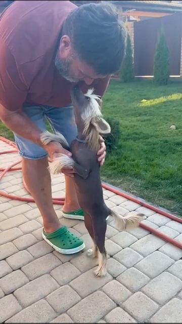 Глория с поцелуйчиками. Нажористая какая стала. К зиме готова!