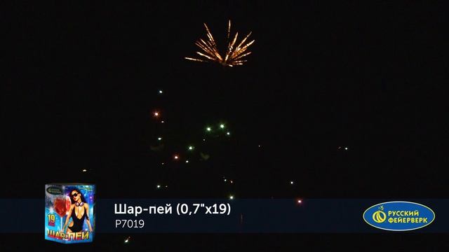 P 7019