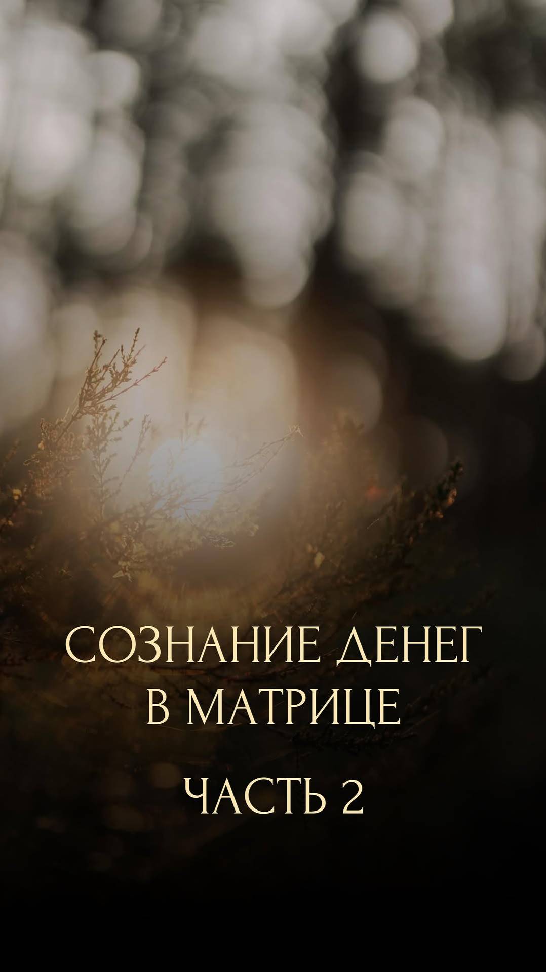 СОЗНАНИЕ ДЕНЕГ В МАТРИЦЕ. Часть 2.