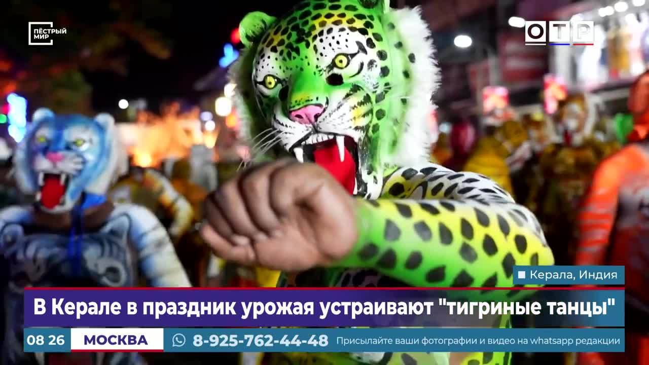 В Керале в праздник урожая устраивают «тигриные танцы»