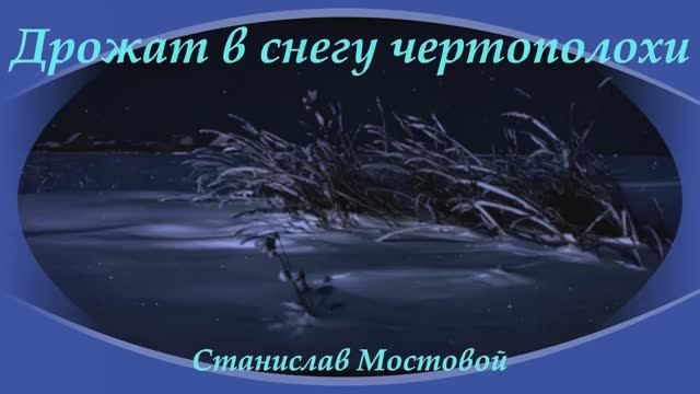 Дрожат в снегу чертополохи