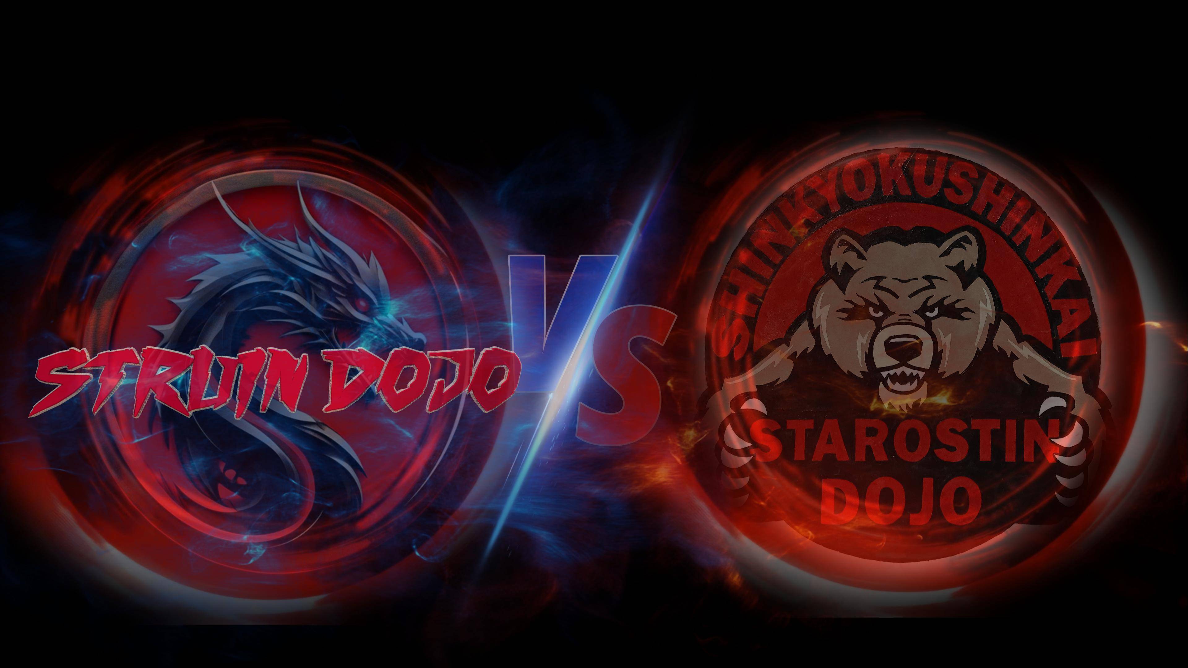 STRUIN DOJO VS STARISTIN DOJO/Поединки по карате киокушинкай