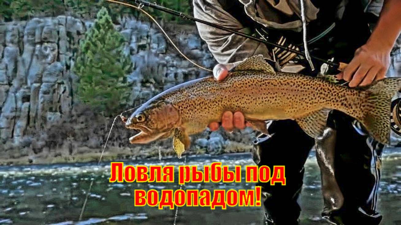 Ловля рыбы нахлыстом под водопадом!