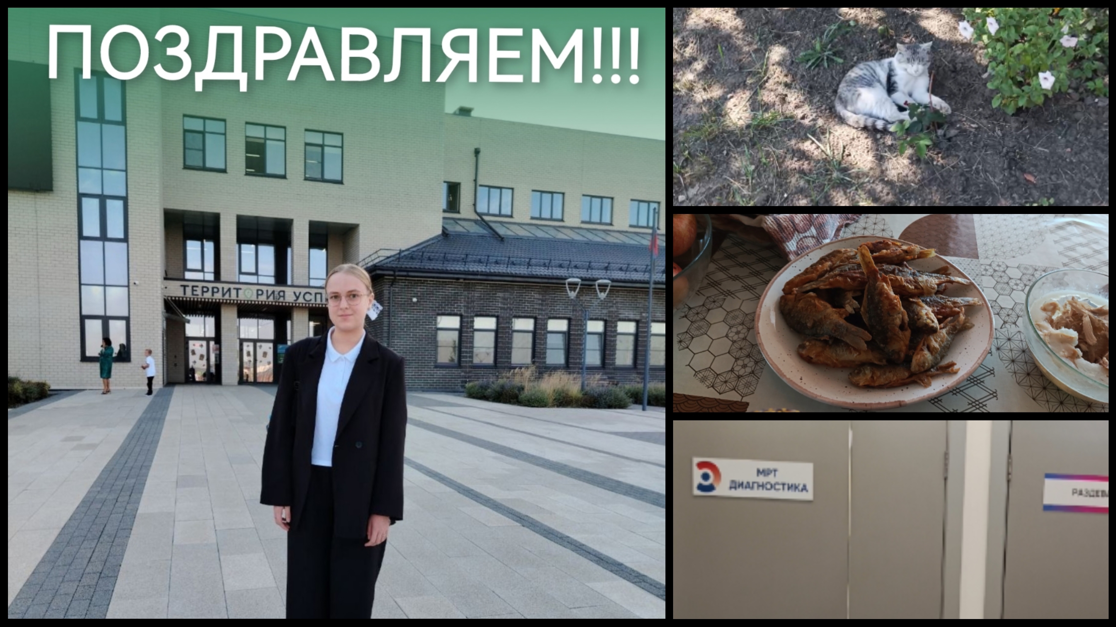 Папа наловил много рыбы. Ездили на МРТ. Целый день опасность БЫЛА. Анюта выиграла путёвку в Артек