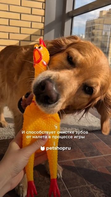 PETSHOP Игрушка пищалка для собак, желтая курица (66390)