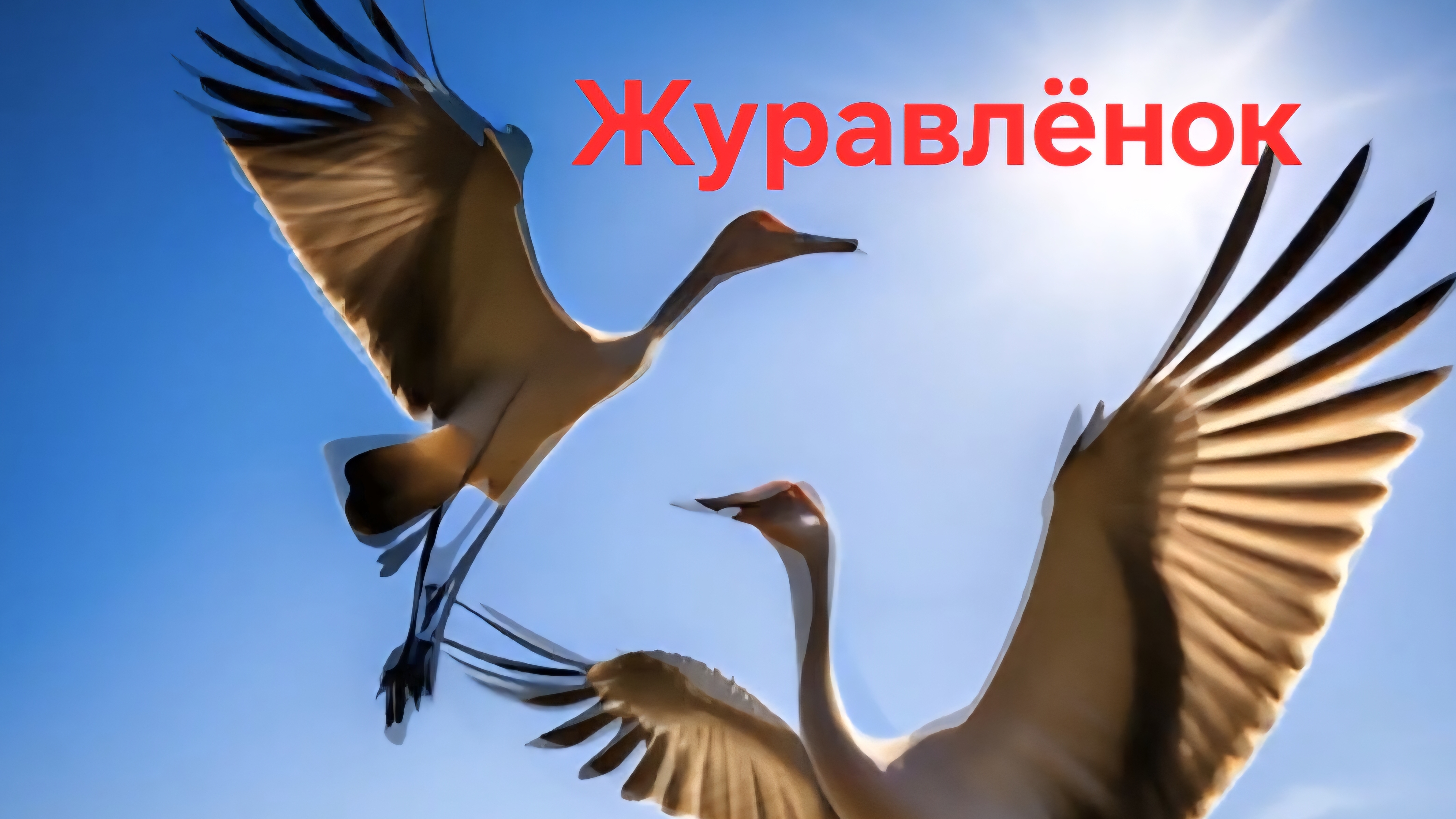 Журавлёнок (cover)