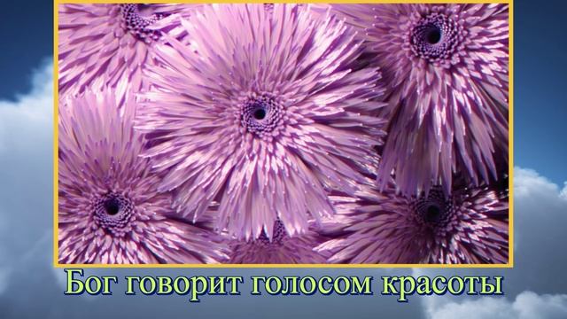 Красота