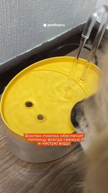 PETSHOP Фонтан-поилка для собак и кошек (67265)