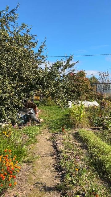 Продается участок 10 соток с хоз. строением в СНТ Радуга, пос. Балакирево. Свет в даче.