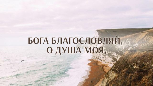 Десять тысяч причин