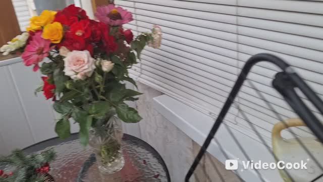 Vlog/ 111/ Брательник допился/ Иваныч сменил морковку на яблоки/ Распределяю мамину пенсию...