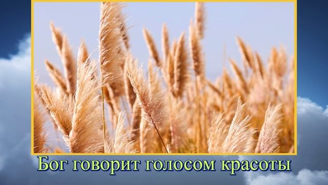 Красота