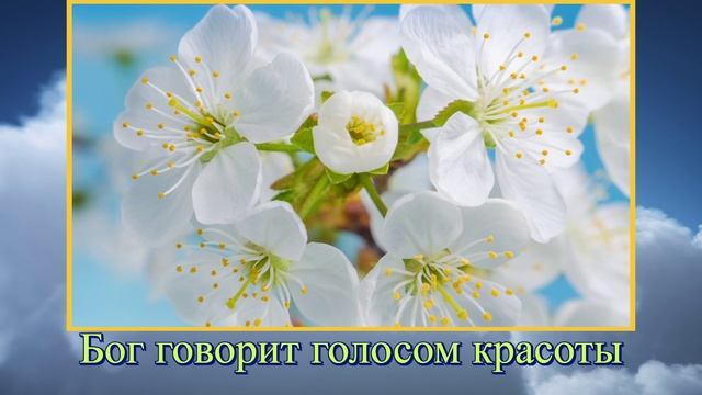 Красота
