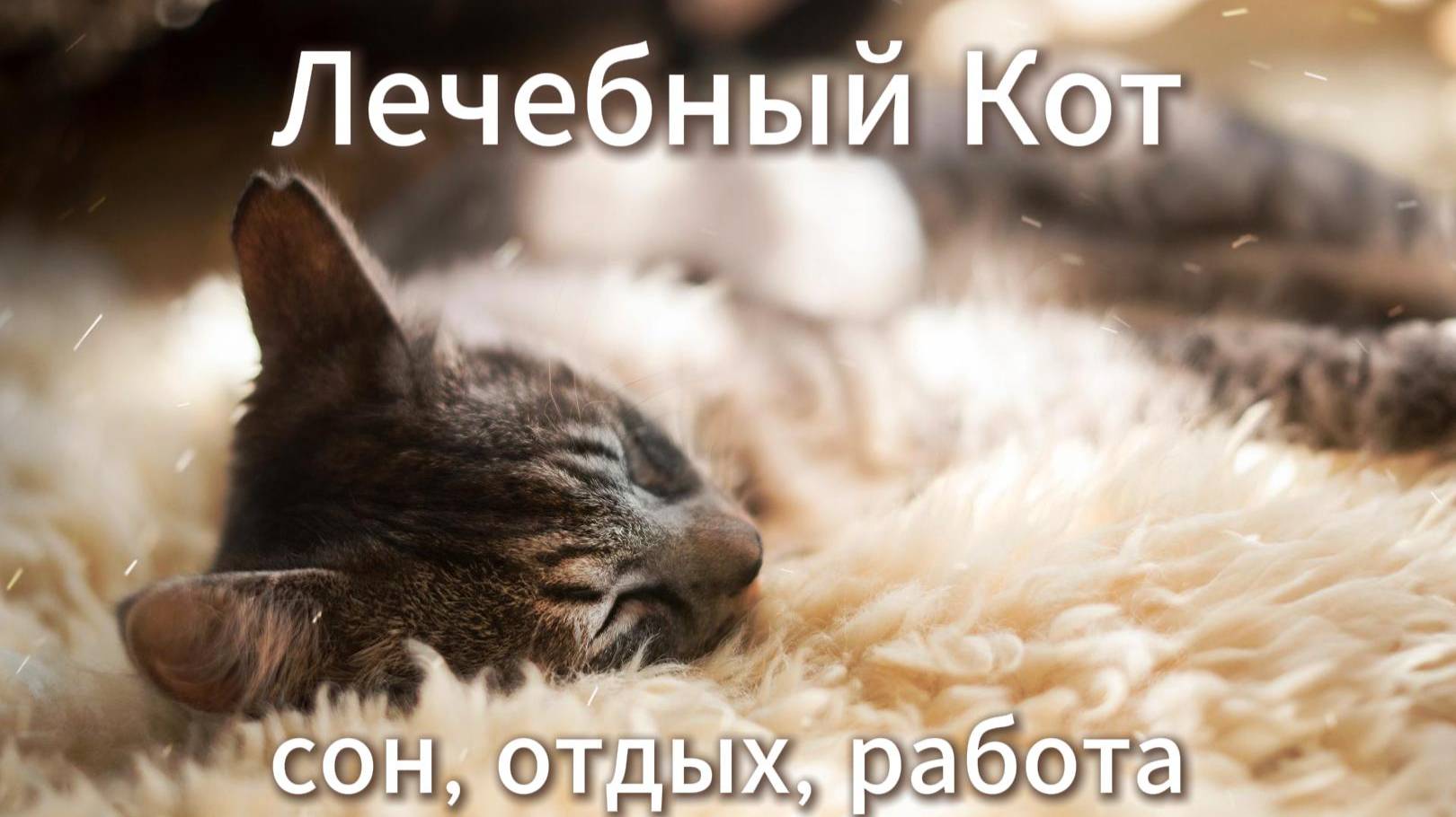 Лечебный Кот - Мурчание кота и гармонизирующие вибрации от тревоги, бессонницы, напряжения, стресса
