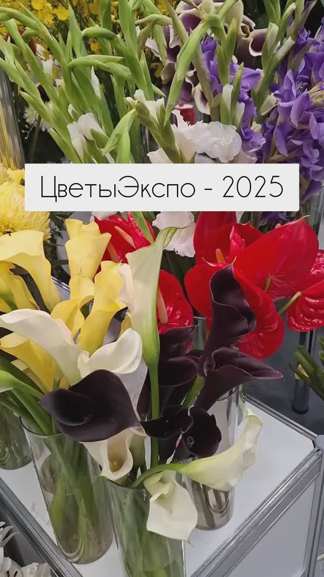 ЦветыЭкспо – 2025. Без слов)