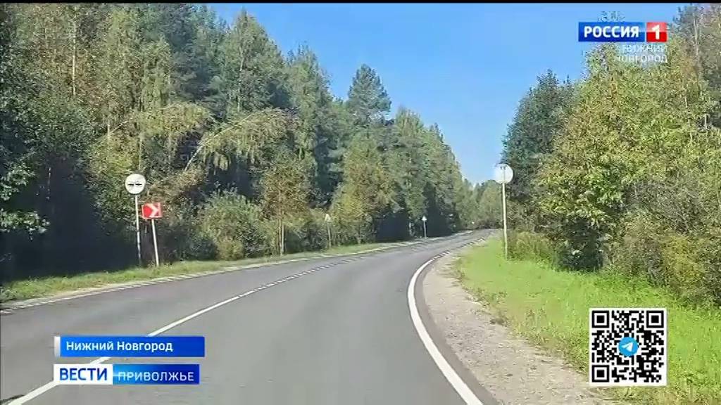 Период гона у лосей приводит к жестким столкновениям на трассах: Как избежать ненужной встречи?