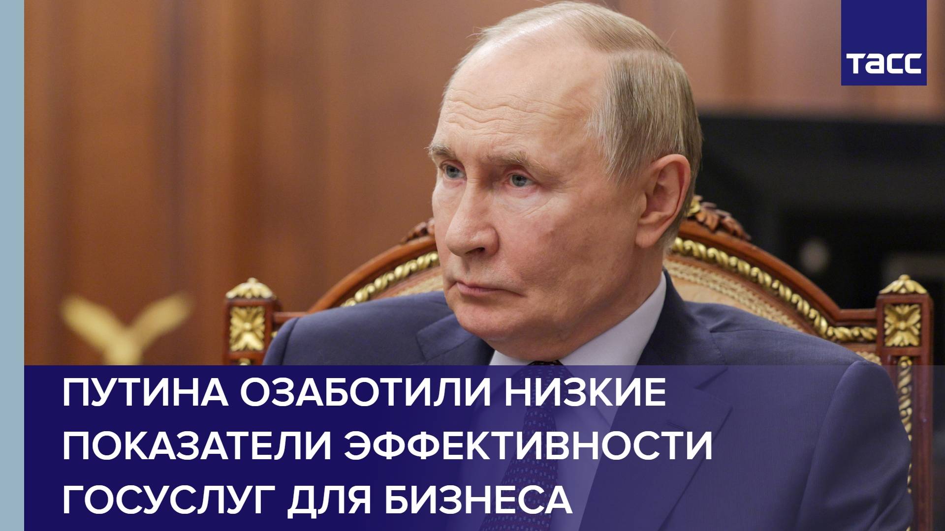 Путина озаботили низкие показатели эффективности госуслуг для бизнеса
