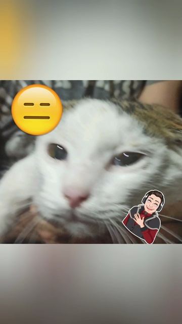 ДЕЛАЮ НОВОЕ ВИДЕО