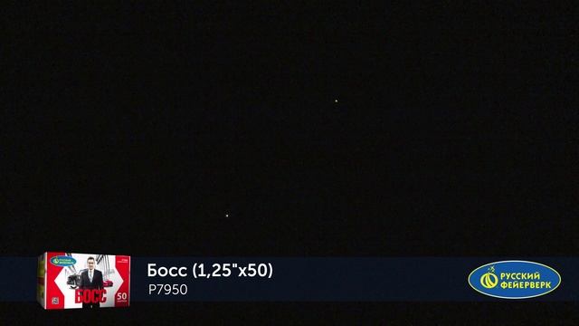 P 7950