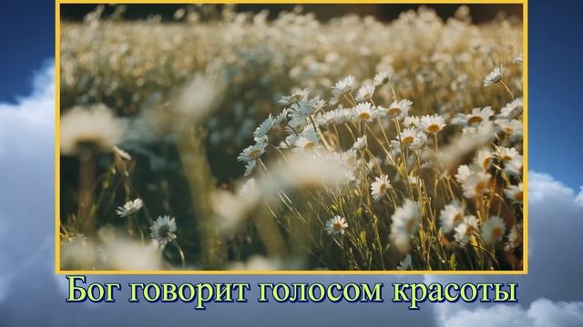 Красота