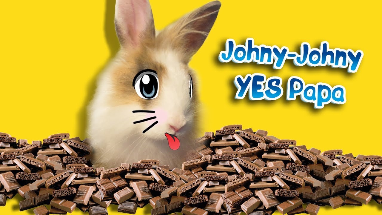 КРОЛИК БАФФИ И ПЕСКНКА Johnny yes yes [2017]