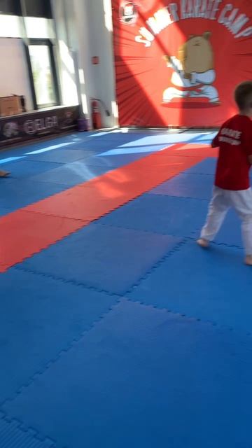 Дневные сборы в нашем клубе