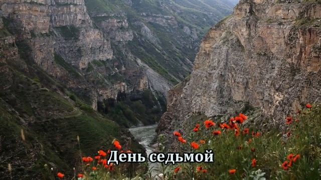 От субботы до субботы