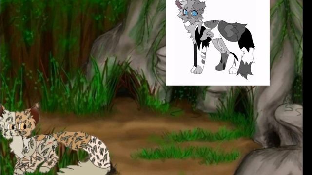 Это моя родословная котов-воителей! /Овсяница /