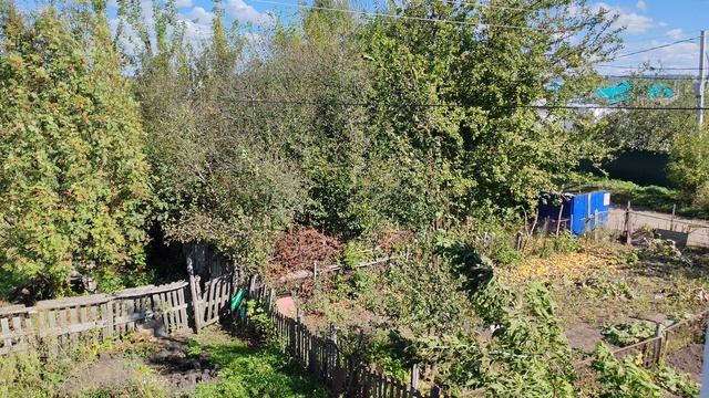 12-09-2025 деревенская атмосфера и природа